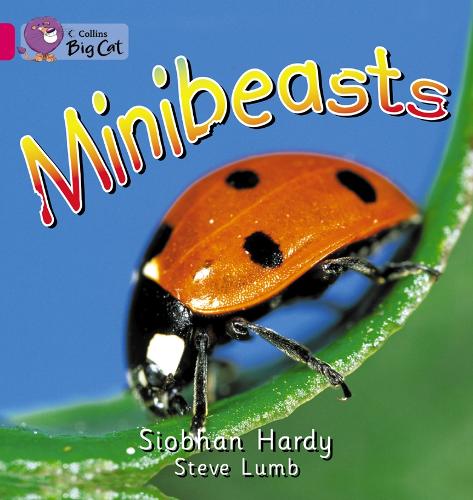 Minibeasts Workbook | Waterstones