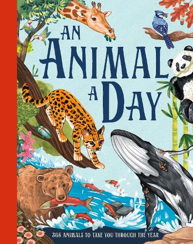 An Animal a Day by Miranda Smith, Kaja Kajfež | Waterstones