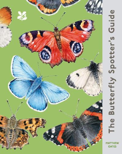The Butterfly Spotter’s Guide by Matthew Oates, Ella Sienna | Waterstones