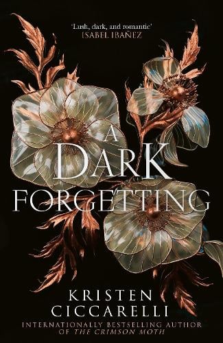 A Dark Forgetting by Kristen Ciccarelli | Waterstones