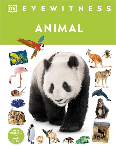 Animal by DK | Waterstones