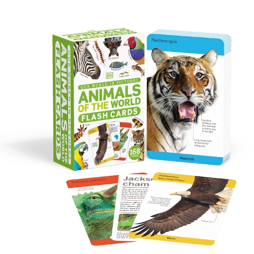 Our World in Pictures Animals of the World Flash Cards by DK | Waterstones