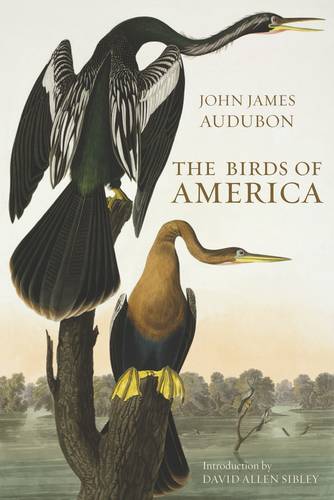 The Birds of America by John James Audubon | Waterstones