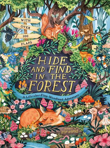 Hide and Find in the Forest: A Lift-the-Flap Woodland Adventure by ...