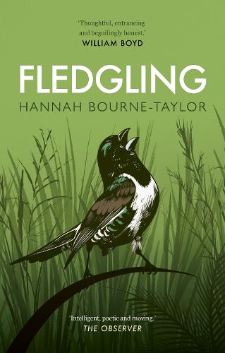 Fledgling by Hannah Bourne-Taylor | Waterstones