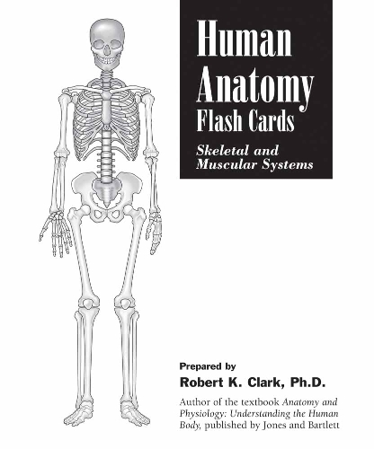 Human Anatomy Flash Cards: Skeletal And Muscular Systems by Robert K ...