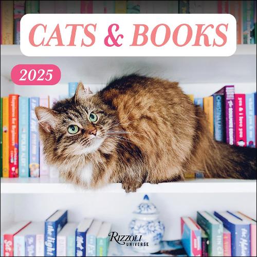 2025 Cats And Books Calendar by Rizzoli Universe | Waterstones