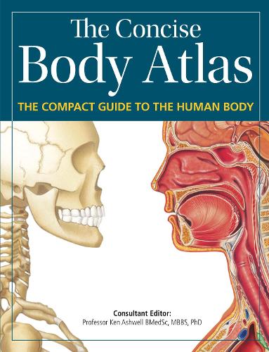 Concise Body Atlas by Prof. Ken Ashwell | Waterstones