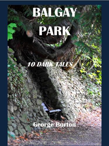 Balgay Park by George Burton | Waterstones