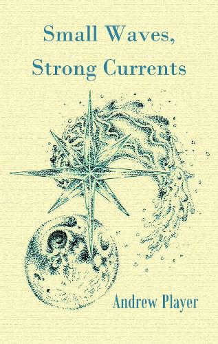 Small Waves, Strong Currents | Waterstones