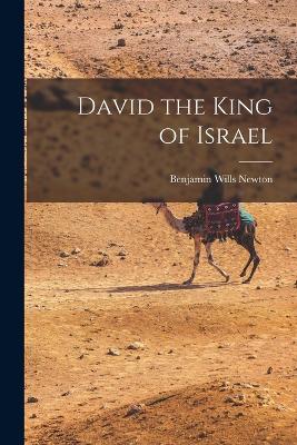 David the King of Israel by Benjamin Wills Newton | Waterstones