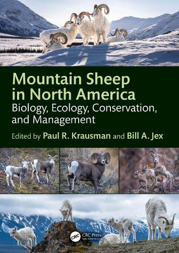 Mountain Sheep in North America by Paul R. Krausman, William Jex ...