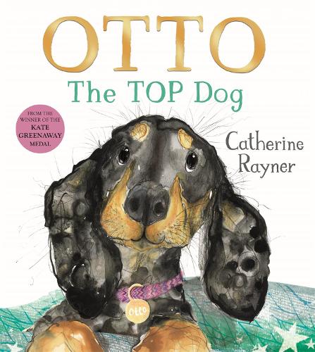 Otto The Top Dog by Catherine Rayner | Waterstones