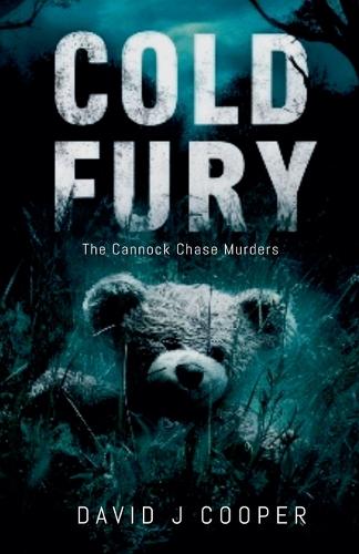 Cold Fury by David J Cooper | Waterstones