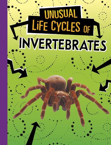 Unusual Life Cycles of Invertebrates by Jaclyn Jaycox | Waterstones