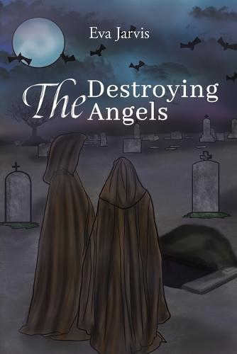 The Destroying Angels by Eva Jarvis | Waterstones