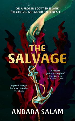 The Salvage by Anbara Salam | Waterstones