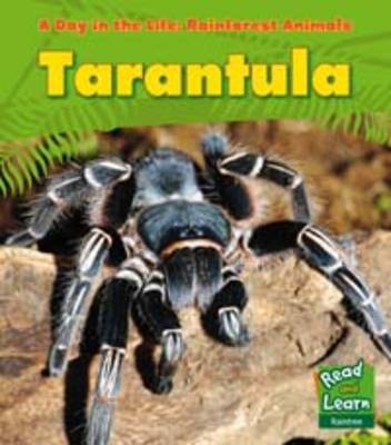 Tarantula by Anita Ganeri | Waterstones