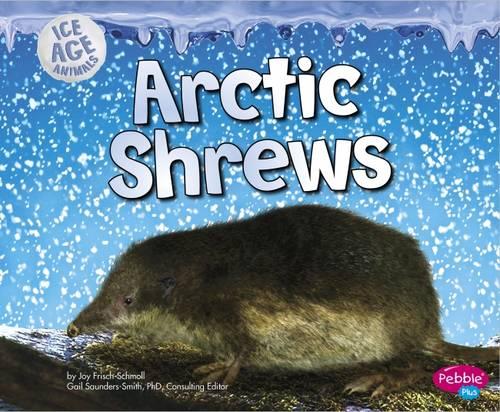 Ice Age Animals by Joy Frisch-Schmoll, Melissa Higgins | Waterstones