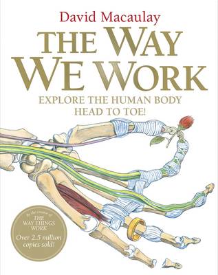 The Way We Work by David Macaulay | Waterstones