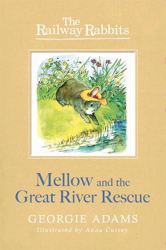 Railway Rabbits: Mellow and the Great River Rescue by Georgie Adams ...