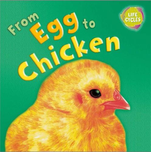 Lifecycles: From Egg To Chicken by Gerald Legg | Waterstones