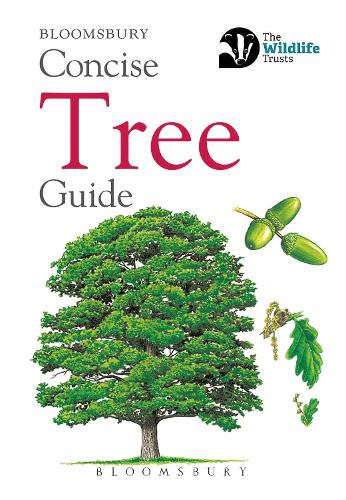 Concise Tree Guide by Bloomsbury | Waterstones