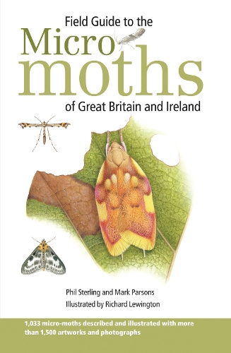 Field Guide to the Micro-Moths of Great Britain and Ireland by Dr Phil ...