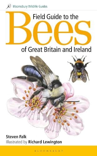 Field Guide to the Bees of Great Britain and Ireland by Steven Falk ...