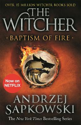 The Witcher Series in Order | Waterstones