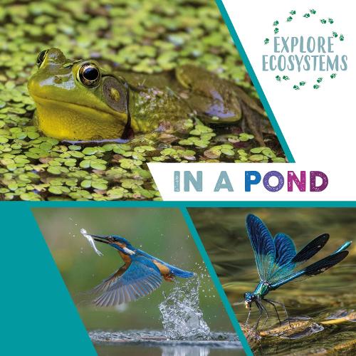 Explore Ecosystems: In a Pond by Sarah Ridley | Waterstones