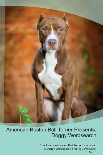 American Boston Bull Terrier Presents by Doggy Puzzles | Waterstones