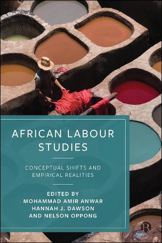 African Labour Studies by Ruth Castel-Branco, David Francis | Waterstones