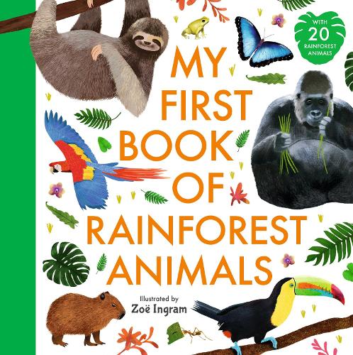 My First Book of Rainforest Animals by Zoë Ingram | Waterstones