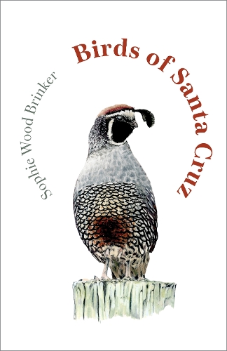 Birds of Santa Cruz by Sophie Wood Brinker | Waterstones