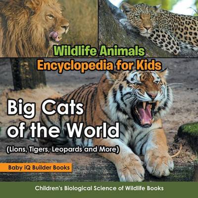 Wildlife Animals Encyclopedia for Kids - Big Cats of the World (Lions ...