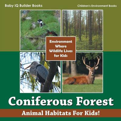 Coniferous Forest - Animal Habitats for Kids! Environment Where ...