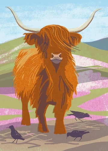 Nature Notebook: Highland Cow by Jane Smith | Waterstones