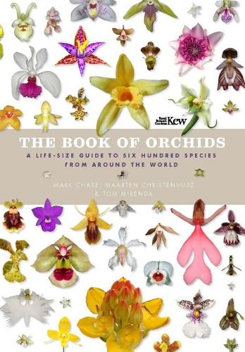 The Book of Orchids by Maarten Christenhusz, Mark Chase | Waterstones