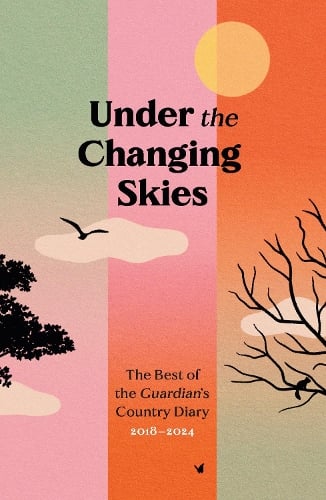 Under the Changing Skies by Paul Fleckney | Waterstones