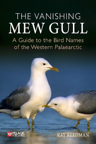 The Vanishing Mew Gull by Ray Reedman | Waterstones