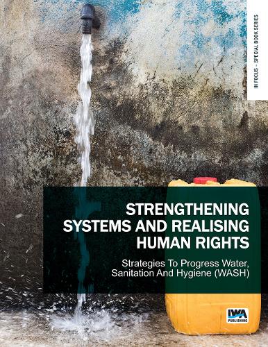Strengthening Systems and Realising Human Rights: Strategies to ...