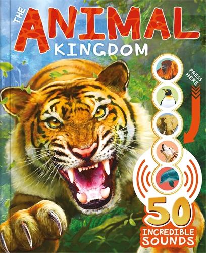 The Animal Kingdom by Autumn Publishing | Waterstones