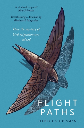 Flight Paths by Rebecca Heisman | Waterstones