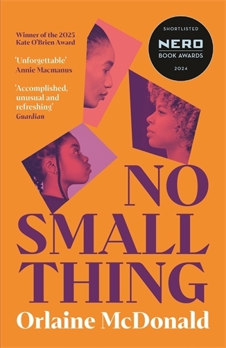 No Small Thing by Orlaine McDonald | Waterstones