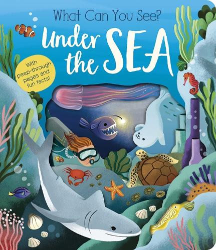 What Can You See? Under the Sea by Molly Littleboy, Maria Perera ...