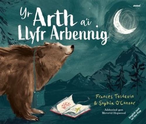 Yr Arth a'i Llyfr Arbennig / The Bear and her Book by Frances Tosdevin ...