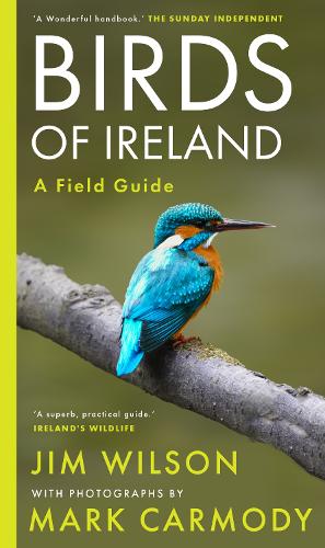 Birds of Ireland by Dr Jim Wilson, Mark Carmody | Waterstones