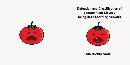 Detection and Classification of Tomato Plant Disease Using Deep ...