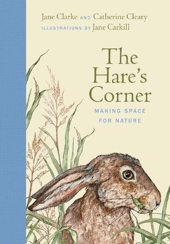 The Hare's Corner by Jane Clarke, Catherine Cleary | Waterstones